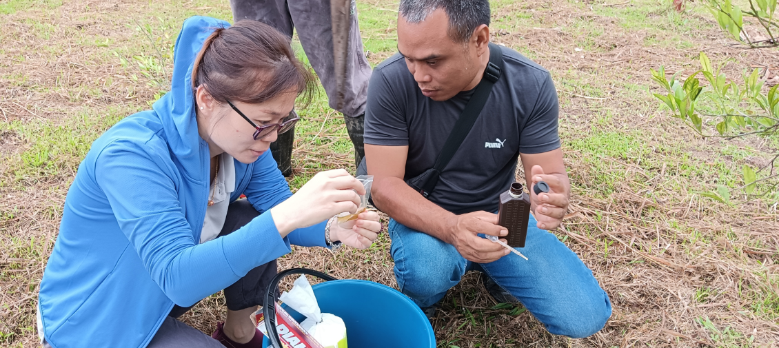 Penyakit 'Greening Disease' Limau - Laman Web Rasmi Jabatan Pertanian ...