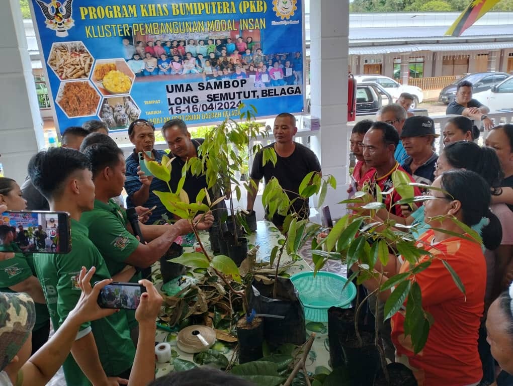 Department Of Agriculture Sarawak Official Website