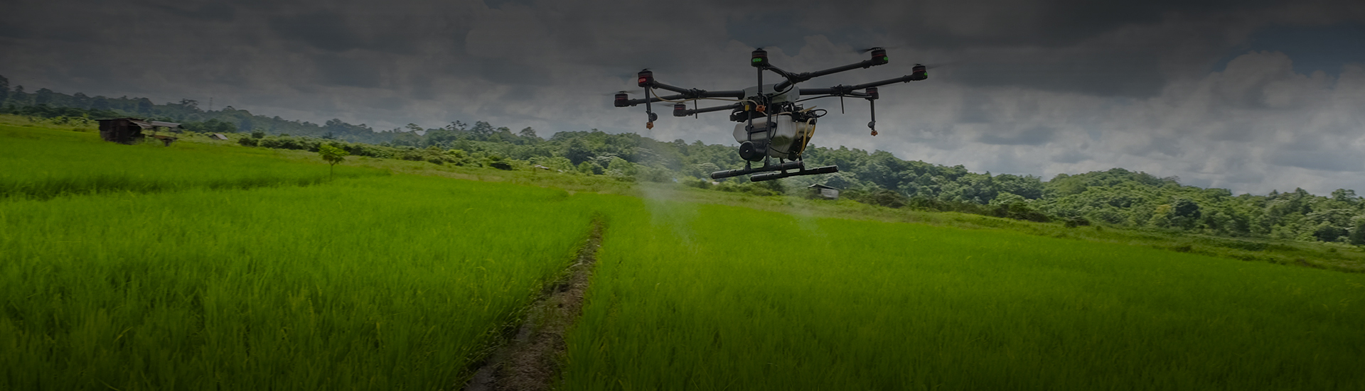 Skim Amalan Pertanian Baik Malaysia - myGAP - Department Of Agriculture ...