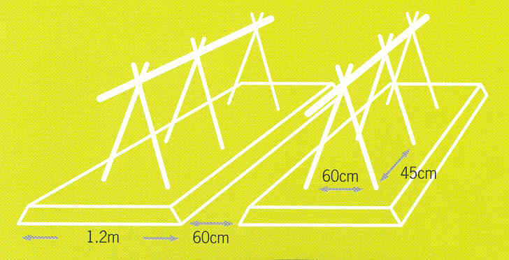 Long Bean - Department Of Agriculture Sarawak Official Website